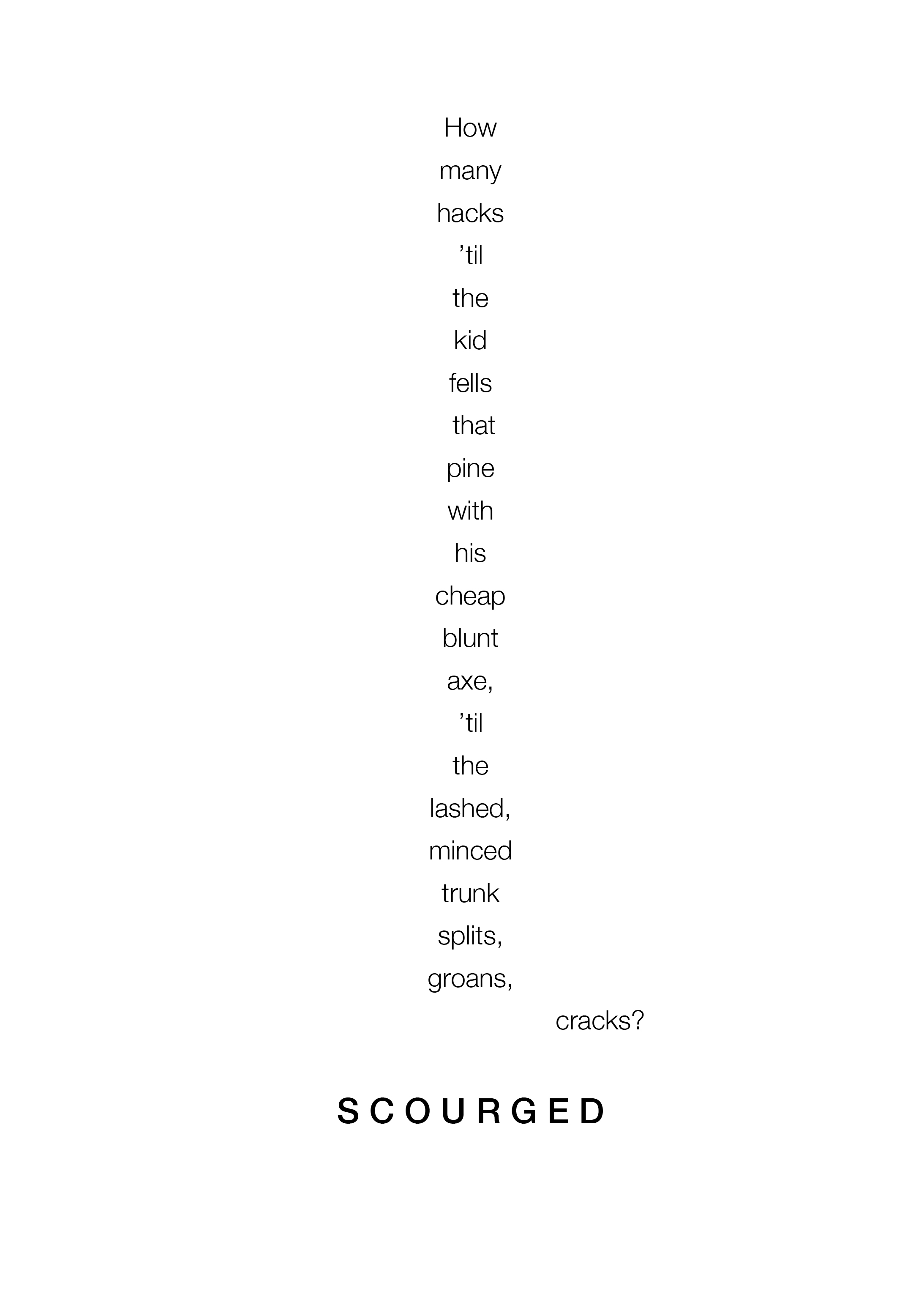 scourged – Passing Through